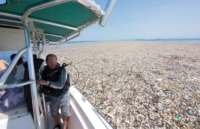 El Plástico en el Mar | Revista de Marina
